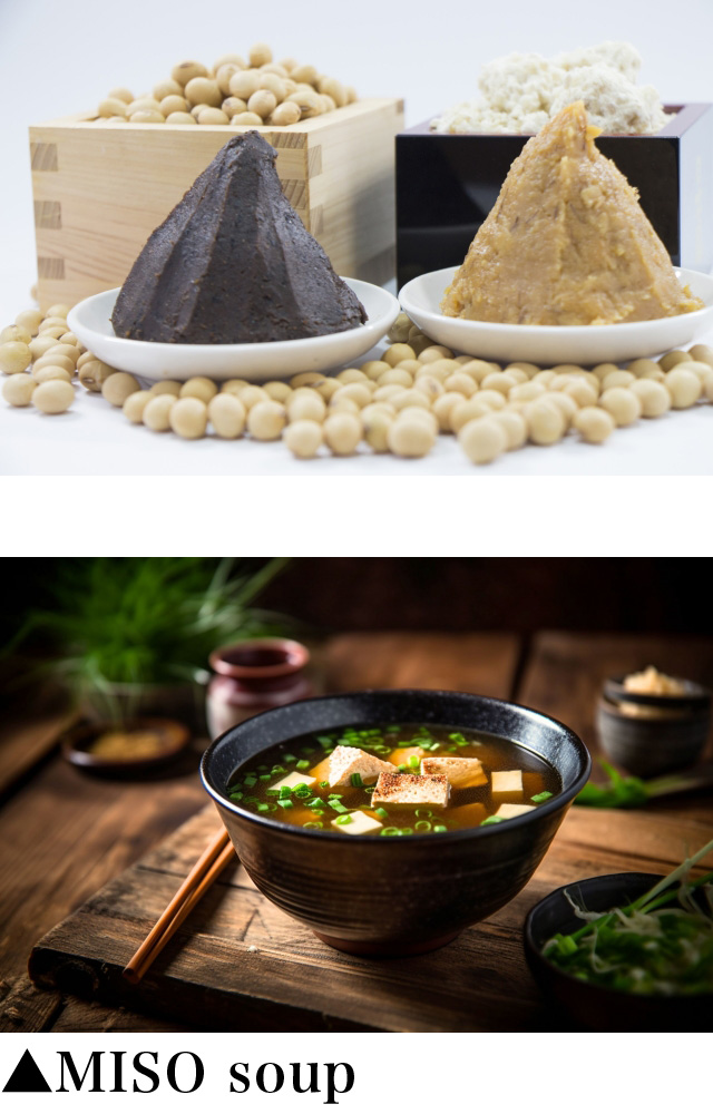 4Types of MISO 【PART 1】 | IPPIN100-Japanese Groceries-